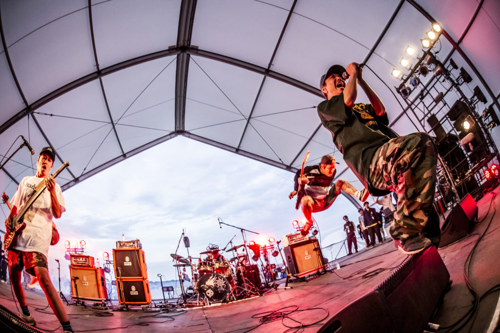 The Shadows – PHOTO GALLERY